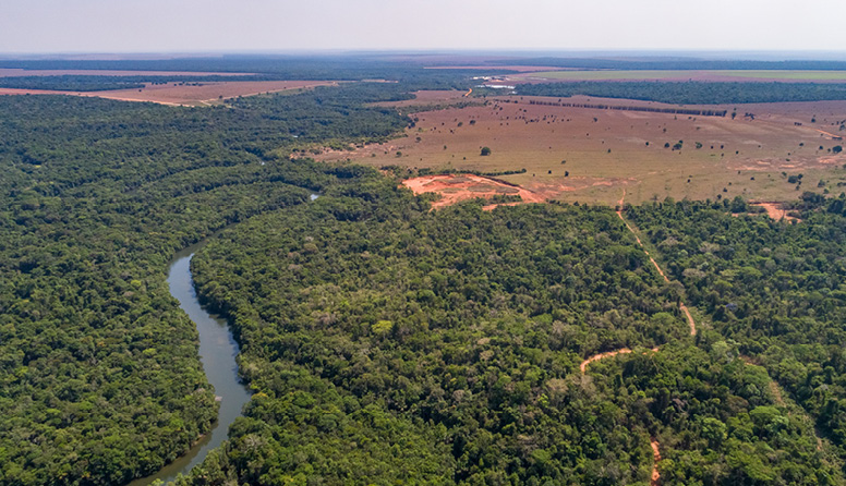 Tropski deževni gozd