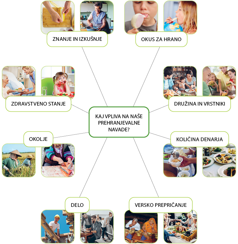 Dejavnost - Miselni vzorec